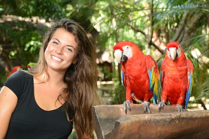 Xcaret Park Plus Access with Transportation and Night Show - Is It Worth the Price?