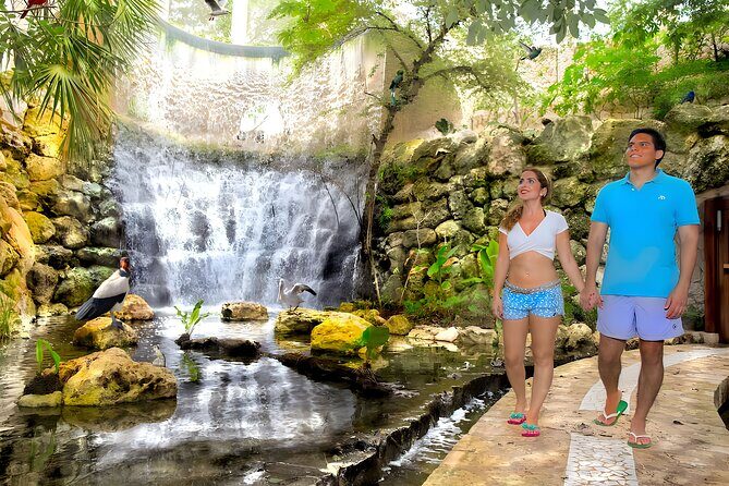 Xcaret Park Plus Tour! Nature, Culture and Nightshow from Cancun - Who Should Consider This Tour?