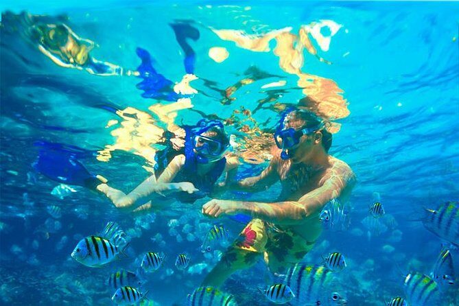 Xcaret Plus Park Tour with Transportation from Riviera Maya - The Experience of the Transportation and Group Size