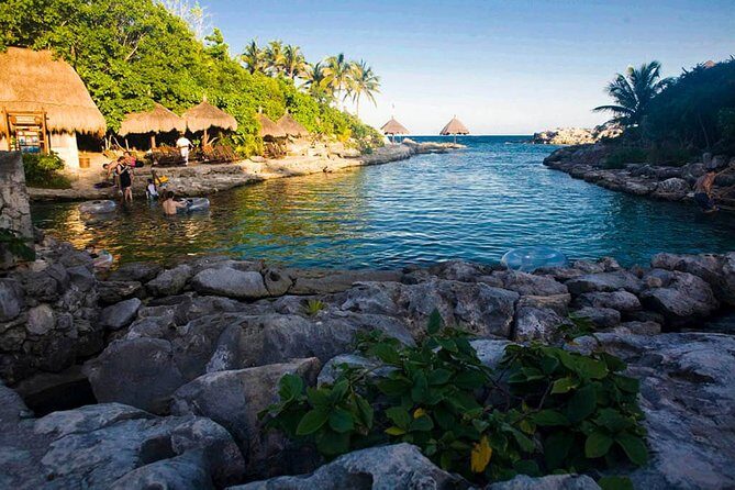 Xcaret Tour Plus with Buffete and Transportation only from Cancun - The Experience: An In-Depth Look