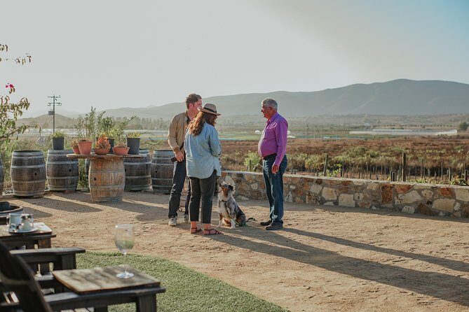 Xecue Wine Tasting in the Guadalupe Valley - The Experience in Context