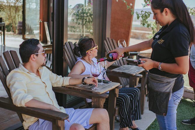 Xecue Wine Tasting in the Guadalupe Valley - The Sum Up: Who Should Consider This Tour?