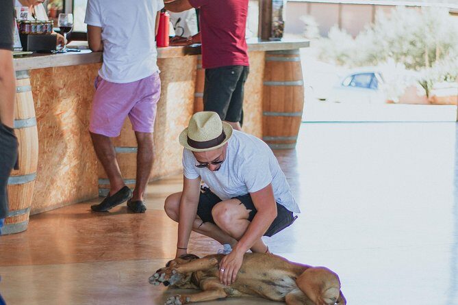 Xecue Wine Tasting in the Guadalupe Valley - FAQs