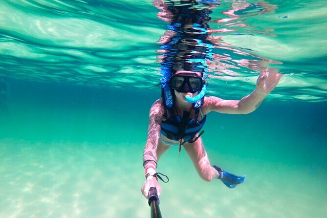 Xel-Ha All Inclusive Admission Ticket - Authentic Insights from Visitors