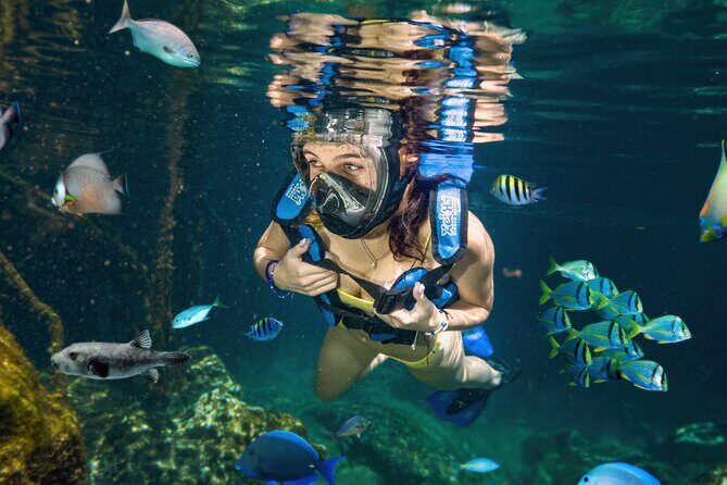 Xel-Ha Tickets with Transportation included - The Itinerary in Detail: What’s Included and What to Expect