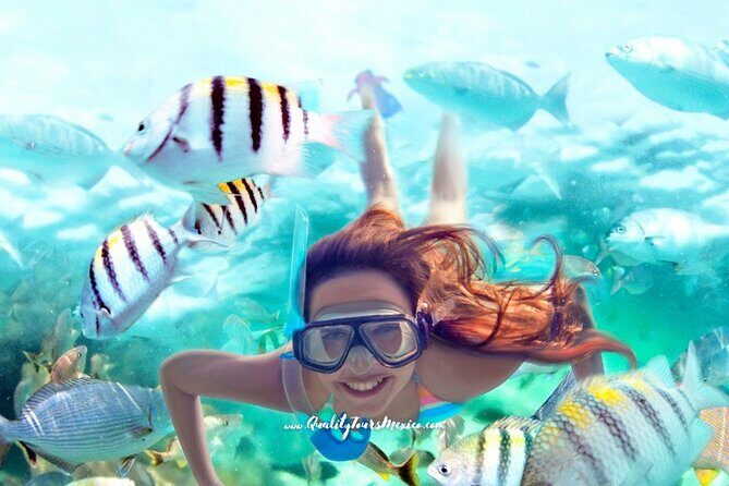 Xelha water park with transportation - FAQ