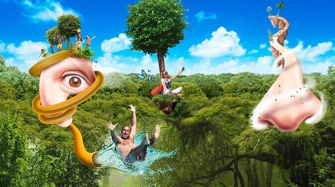 XENSES Admission *Official Product* - A Quick Look at What Makes Xenses Stand Out