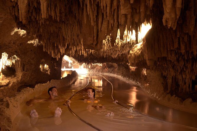 XENSES Admission *Official Product* - Is It Worth the Price?