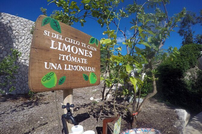 Xenses Tour Explore Magic Town from Riviera Maya Playa del Carmen - The Sum Up: Is Xenses Worth It?