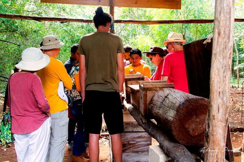 Xkopek, Mayan Bees Tour and Honey Tasting in Valladolid - The Authenticity and Cultural Significance
