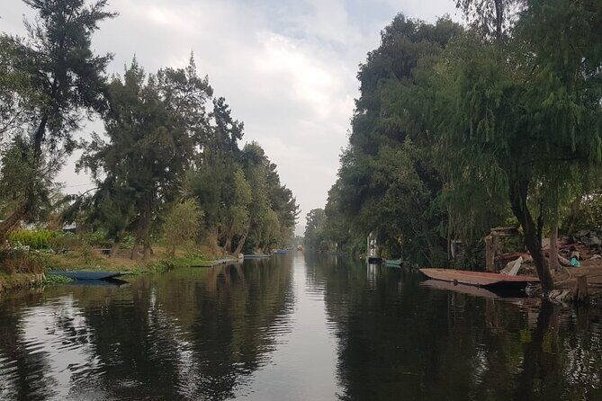 "Xochimilco: A Floating Mexican Fiesta" - Who Will Love This Tour?