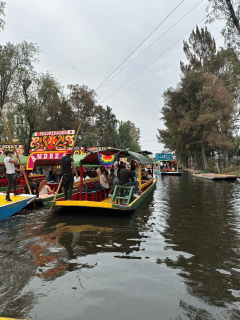 Xochimilco and Garibaldi: Tradition and Music - Who Should Consider This Tour?