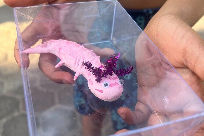 Xochimilco Boat Ride with Kids - The Sum Up