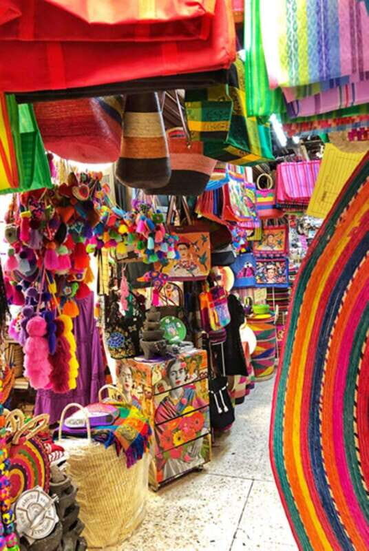 Xochimilco Canals and the Treasures of Coyoacán Tour - A Deep Dive into What to Expect