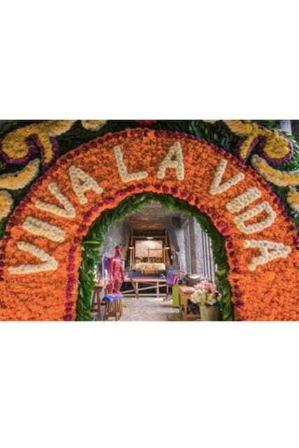 Xochimilco Canals and the Treasures of Coyoacán Tour - Why This Tour Is a Great Choice