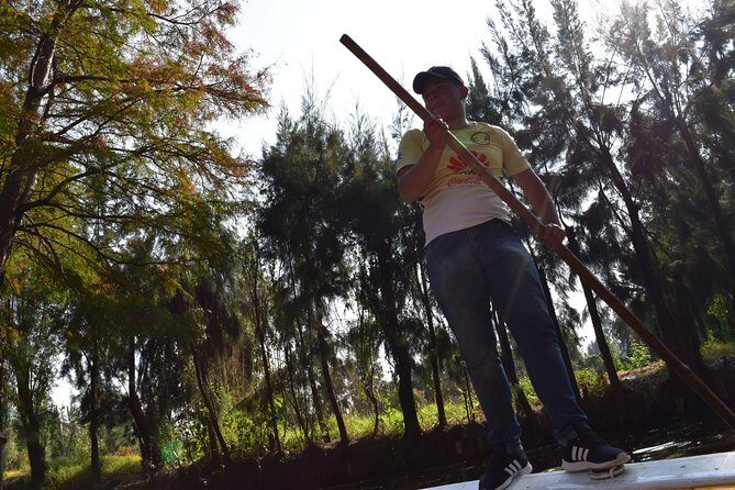 Xochimilco & Coyoacán Private Tour - The UNAM Central Library: Art in Academia