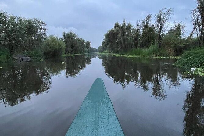 Xochimilco Ecotourism at Dawn in Canoe and Organic Breakfast - Final Thoughts