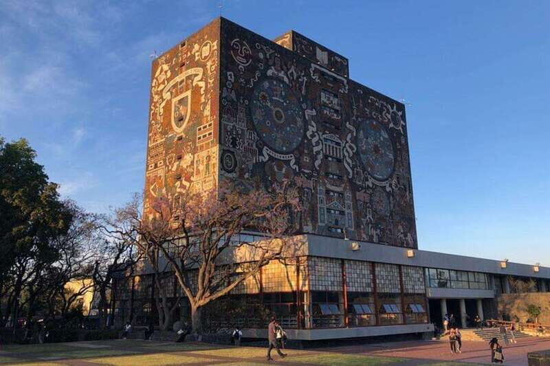 Xochimilco floating gardens, Coyoacan and UNAM murals - Key Points