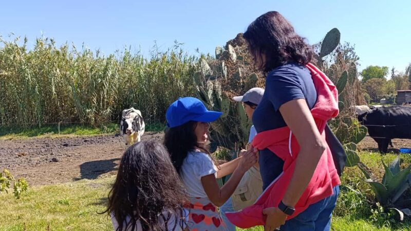 Xochimilco for kids and families - Key Points