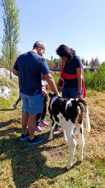 Xochimilco for kids and families - A Deep Dive into the Tour Experience