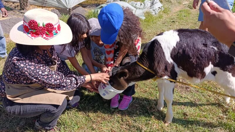 Xochimilco for kids and families - Who Will Love This Tour?