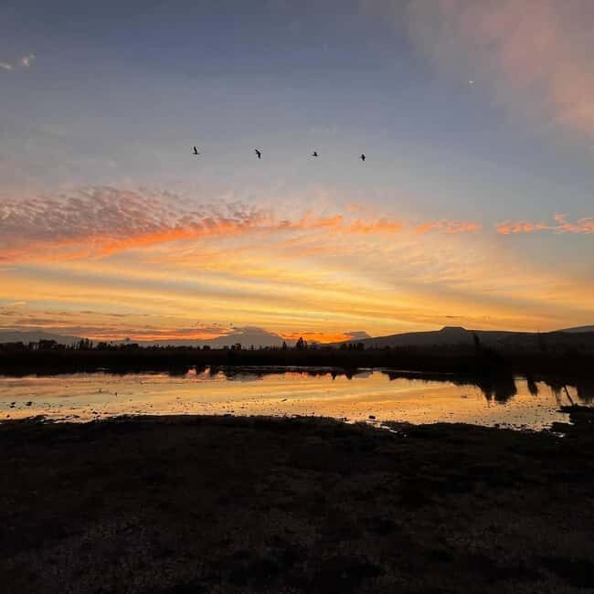 Xochimilco: Kayak ride at sunrise with breakfast - FAQ