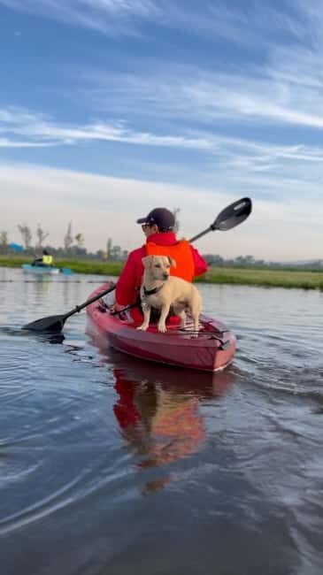 Xochimilco: Kayak Tour and Axolotl Watching - Practical Details and Tips