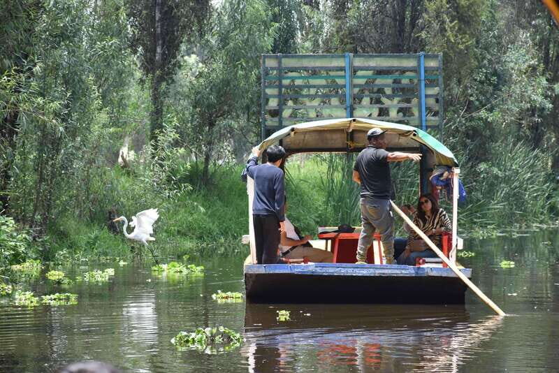 Xochimilco Serene: A Calm Cultural Escape from the Crowds - What to Expect from the Xochimilco Serene Tour