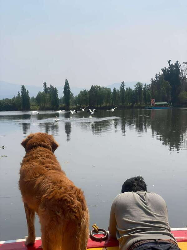 Xochimilco Serene: A Calm Cultural Escape from the Crowds - FAQ