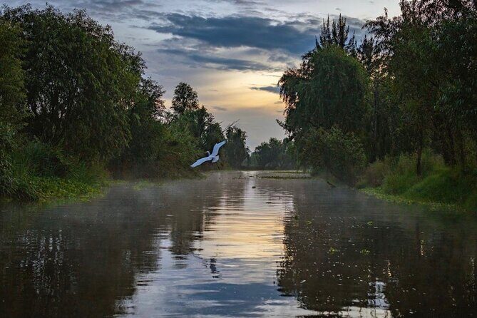 Xochimilco Sunrise from Mexico - What’s Included and Overall Value