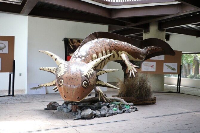 Xochimilco The island dolls and Axolotl museum from Mexico City - Exploring the Itinerary in Detail