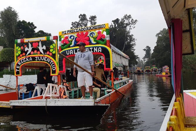 Xochimilco Tour - Xochimilco Tour Review: A Colorful Journey through Mexico City’s Floating Gardens