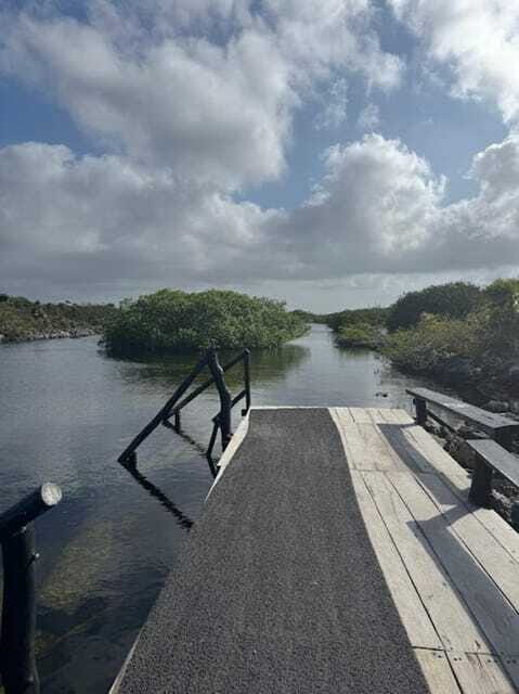 Yalku :Akumal snorkeling Muuch Kay Ecopark - The Overall Experience and Real-User Insights