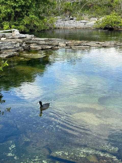 Yalku :Akumal snorkeling Muuch Kay Ecopark - Who’s This Tour Best Suited For?