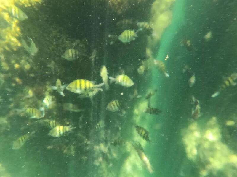 Yalku :Akumal snorkeling Muuch Kay Ecopark - Final Thoughts