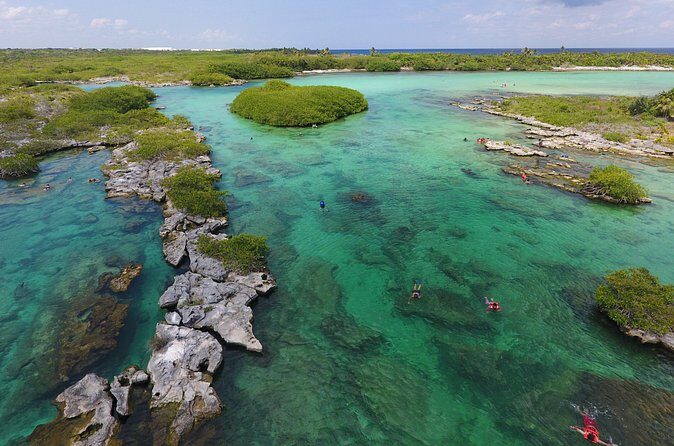 Yalku Lagoon and Cenote Express - Review Insights & Authentic Traveler Feedback