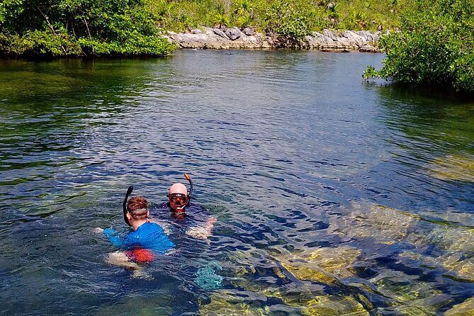 Yalku lagoon and turtles akumal sanctuary - Key Points  