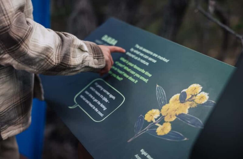 Yallingup: Ngilgi Cave Ancient Lands Experience - Key Points