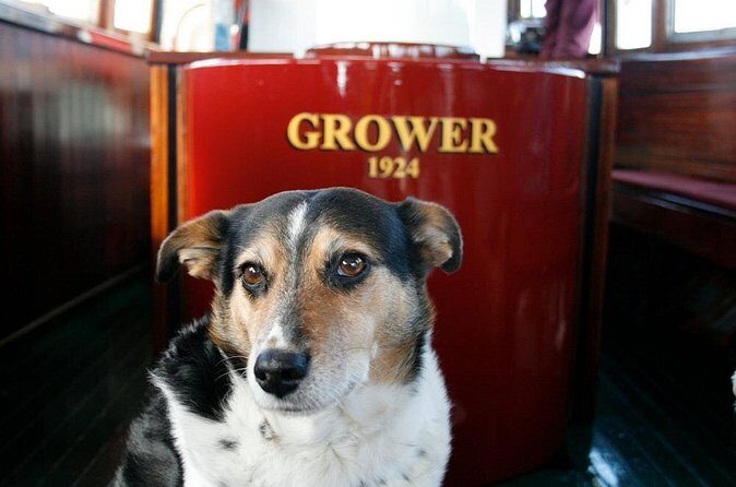 Yarra River 1 Hour Scenic Cruise with Commentary - Final Thoughts