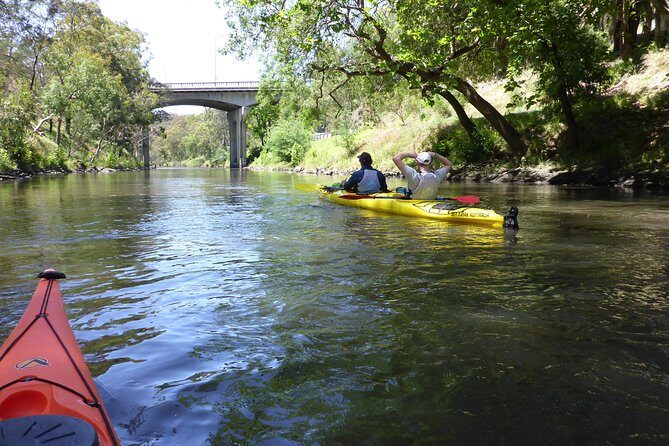 Yarra River Kayak Hire - Exploring Melbourne from the Water: What to Expect