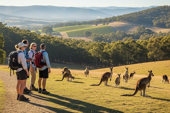 Yarra Valley by night! Private wine, whisky and dinner tour - Key Points