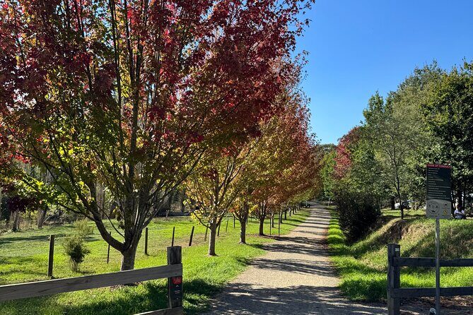 Yarra Valley Foodie Tour, Devonshire Tea, Cheese and Chocolate - Frequently Asked Questions