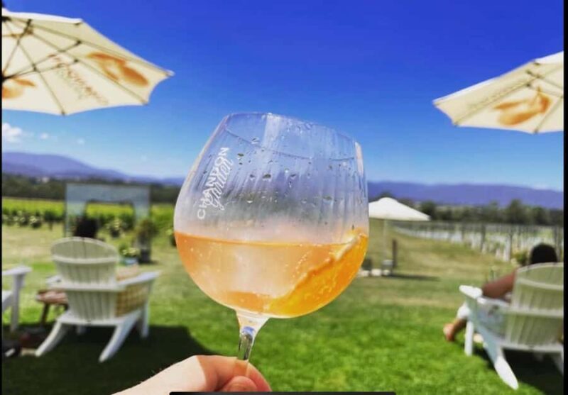 Yarra Valley Foodies Tour with Chandon and Kangaroo Safari! - An In-Depth Look at the Tour Experience  