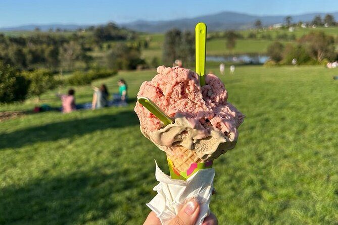 Yarra Valley Foodies Tour with Chandon & Kangaroo Safari! - Final Thoughts: Who Should Book This Tour?