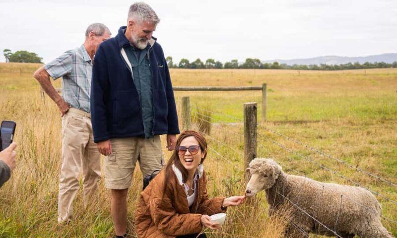 Yarra Valley Full Day Grazing Tour: Gin, Wine, Pizza, Cheese - FAQ