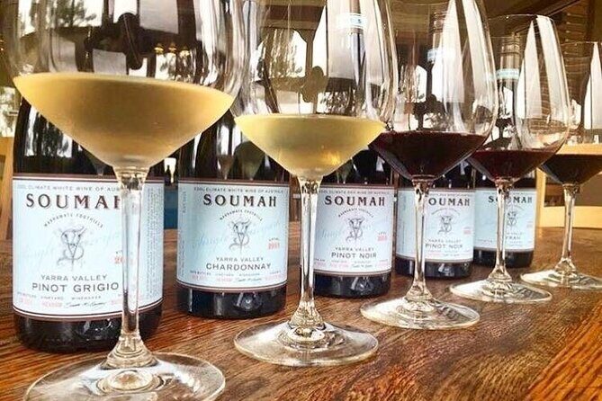 Yarra Valley Half-Day Winery Tour from Melbourne - The Experience: What You Can Expect