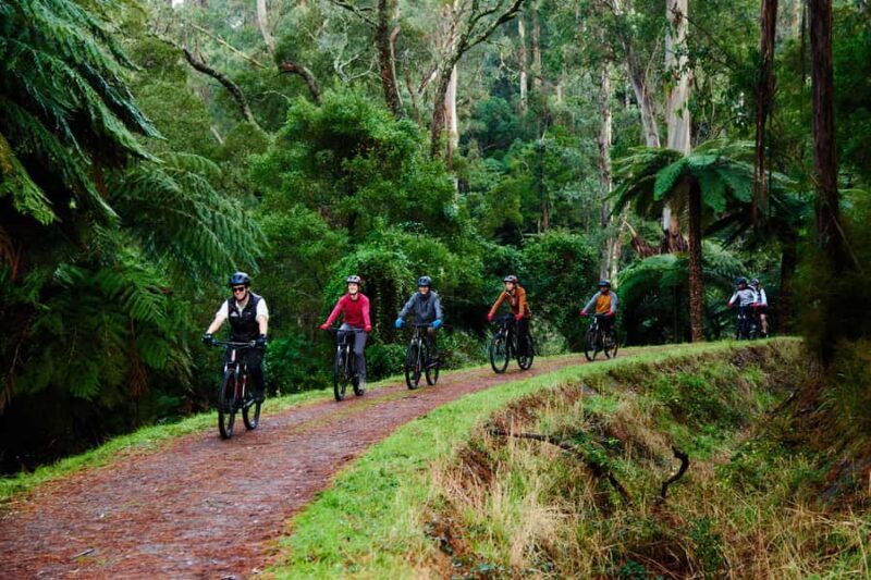 Yarra Valley: Redwood Forest Mountain Bike Adventure - FAQ