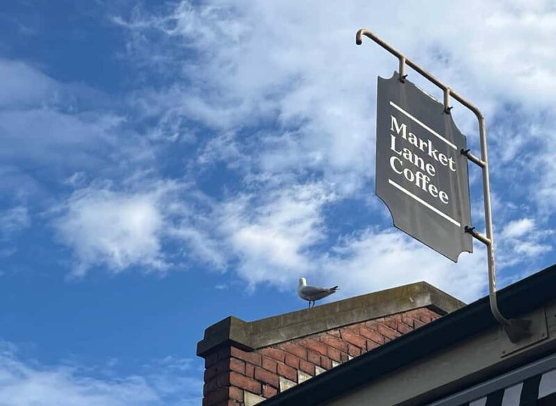 Yarra Valley | Redwoods, Wildlife, Wine, Chocolate - Who Would Love This Tour?