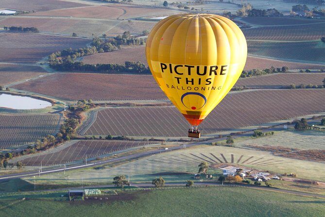 Yarra Valley sunrise balloon flight only - Introduction