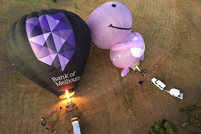 Yarra Valley sunrise balloon flight only - Practical Tips for Your Balloon Flight